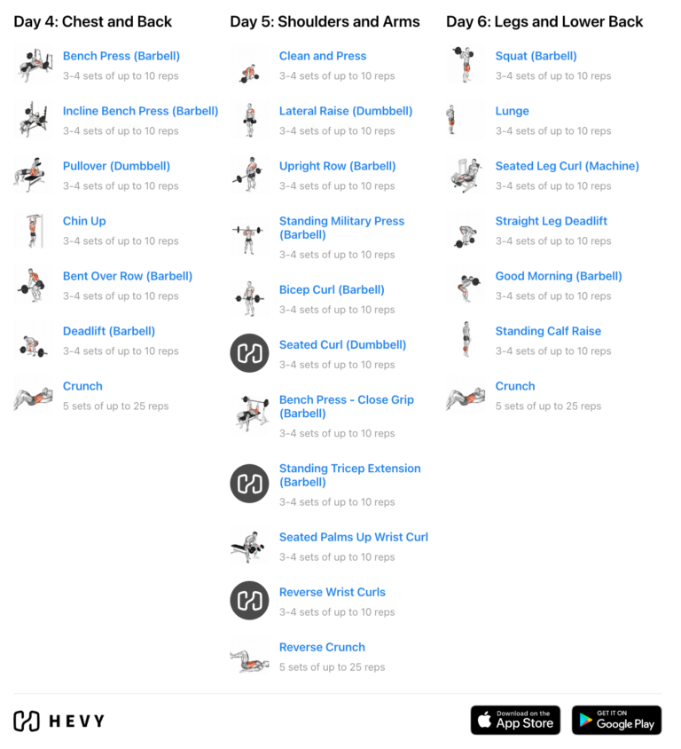 6 Day Workout Split: Programming Options for Optimal Gains (2025)