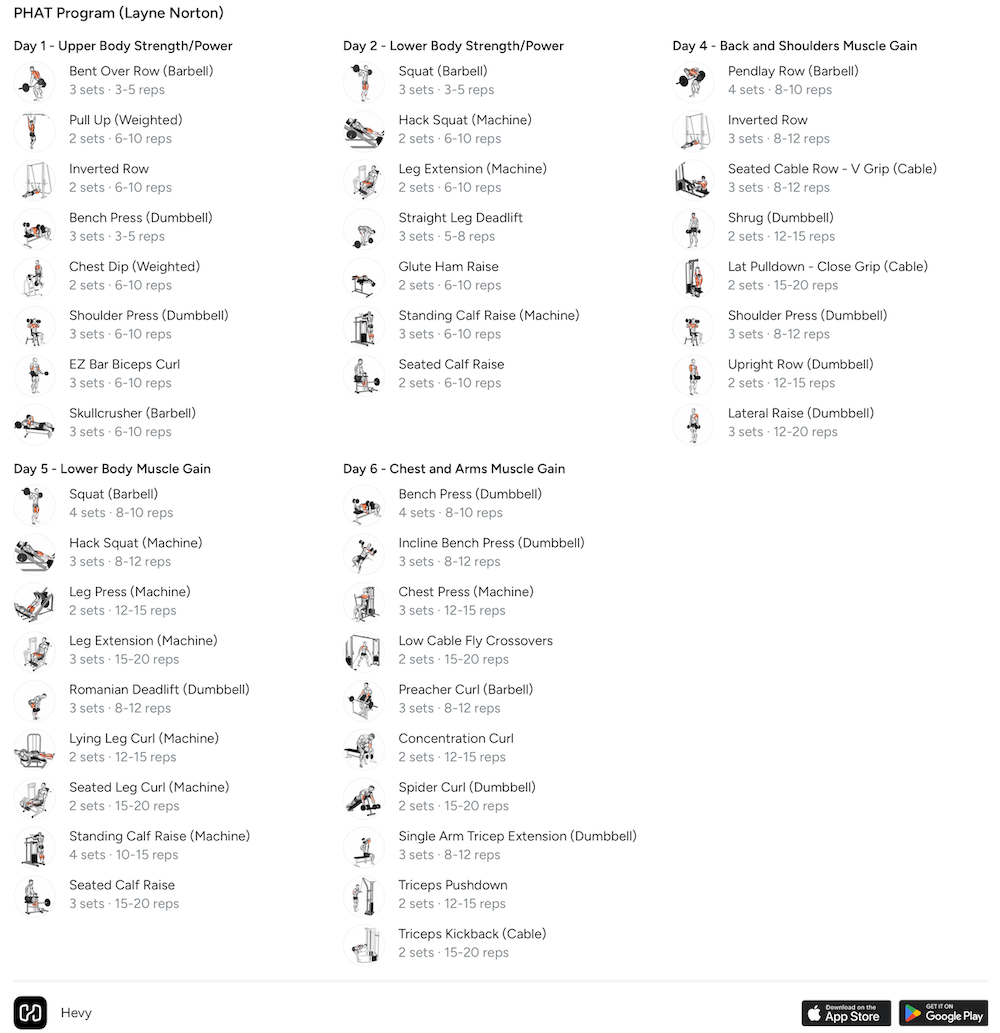 PHAT Workout: Full Powerbuilding Plan Breakdown